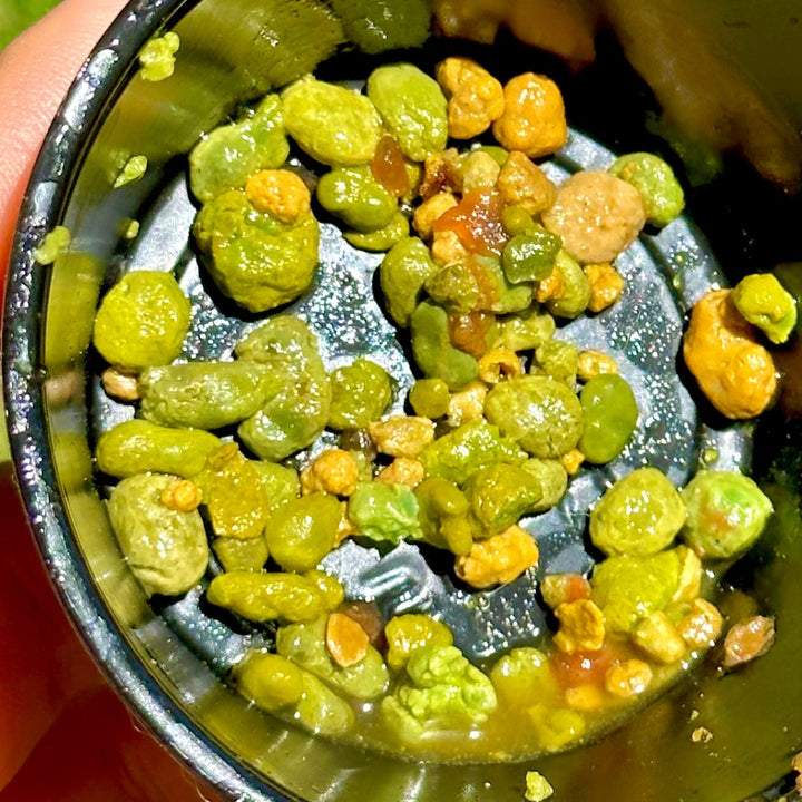 Blogs – Chasin' Unicorns